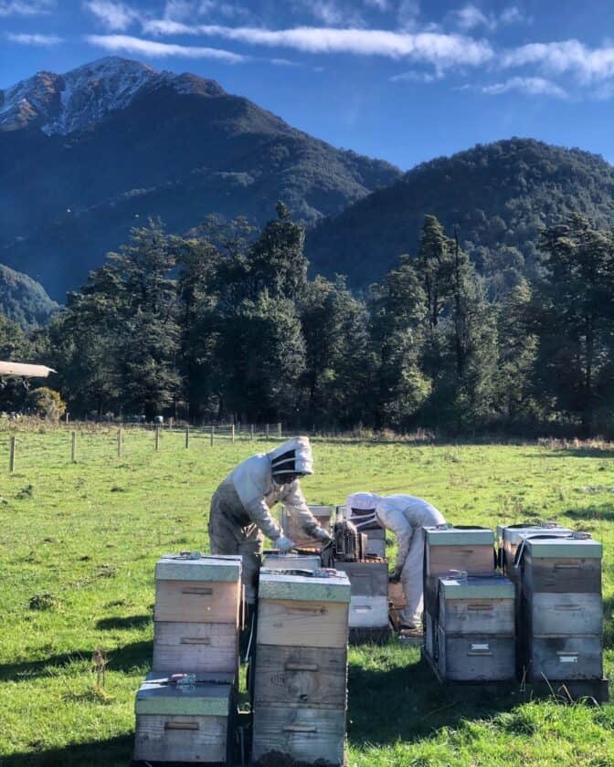 Mīti - New Zealand\\\'s Best High-Protein Meat Snack | Sustainable ...